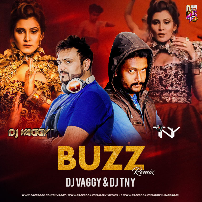 Buzz (Remix) – Dj Vaggy & Dj TNY | Downloads4Djs