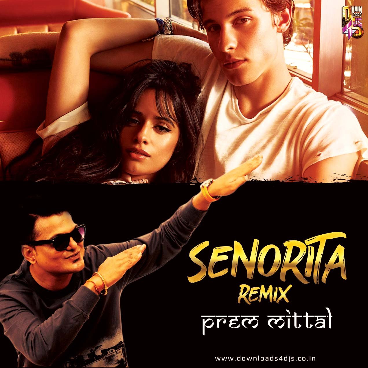 Señorita Remix By Prem Mittal | Downloads4Djs